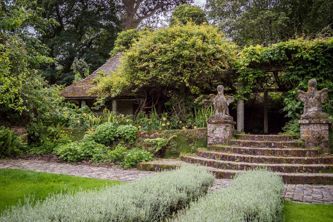 Trewithen - The Great Gardens of Cornwall