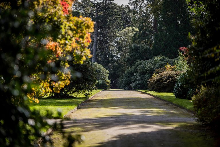Tregothnan - The Great Gardens of Cornwall