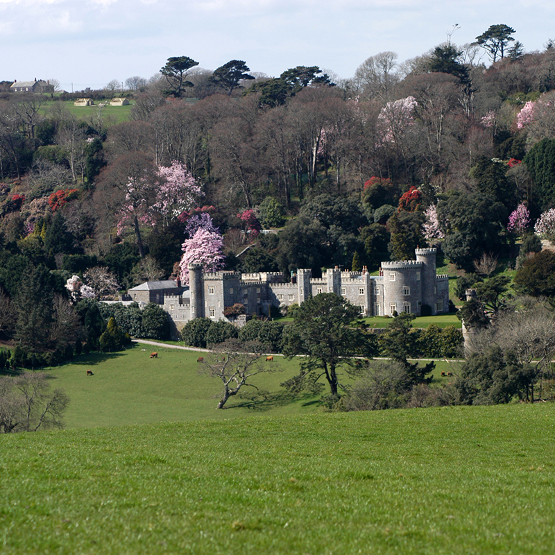 Caerhays Castle Spring Gardens - The Great Gardens of Cornwall
