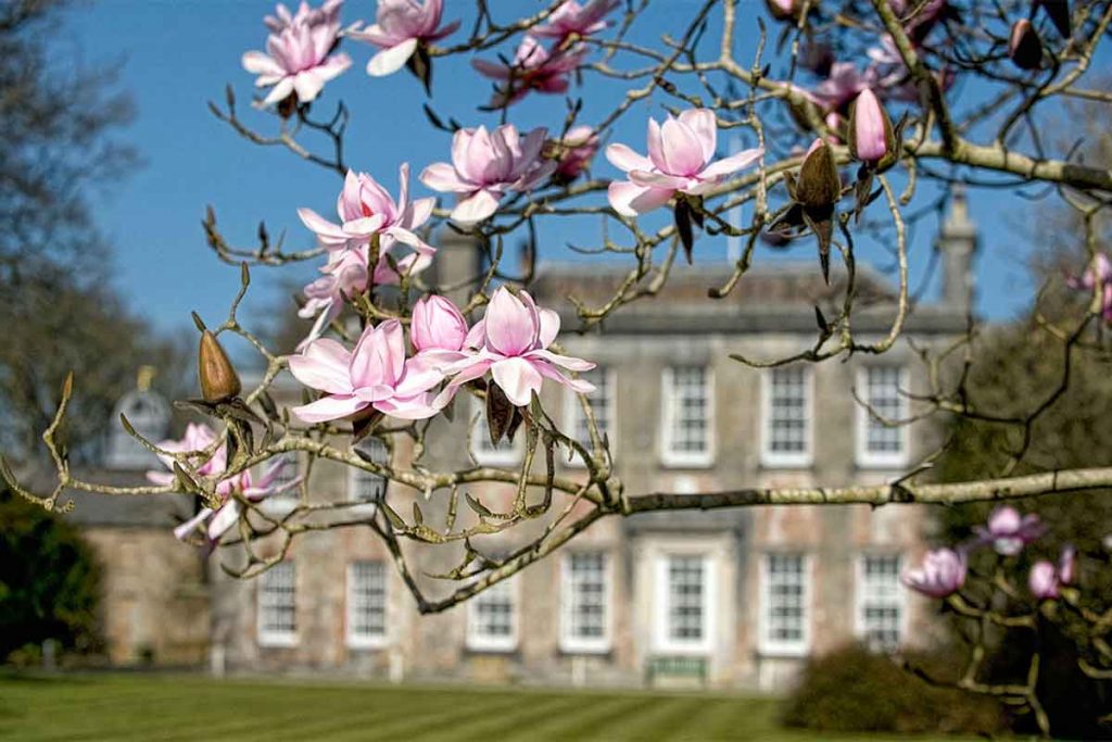 The Great Gardens of Cornwall