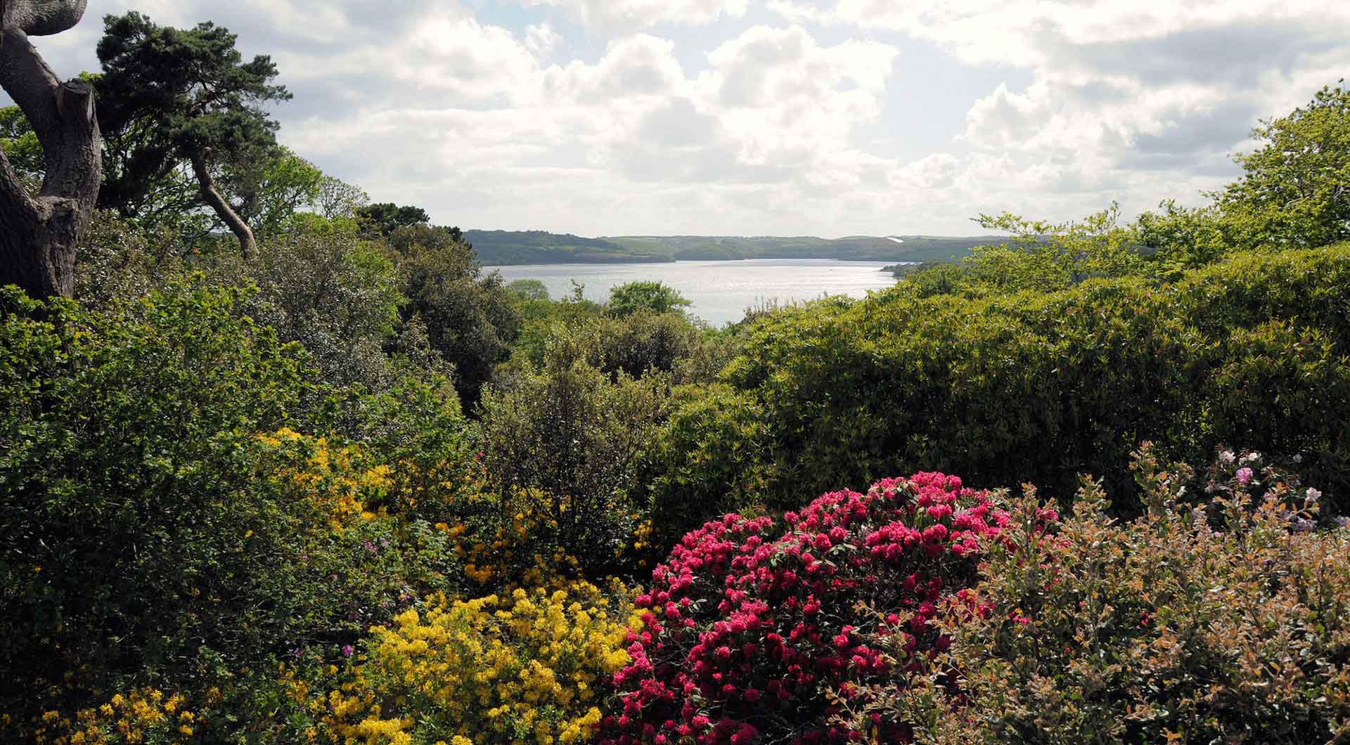 News & Events - The Great Gardens of Cornwall