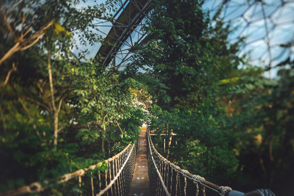Eden Project - The Great Gardens of Cornwall