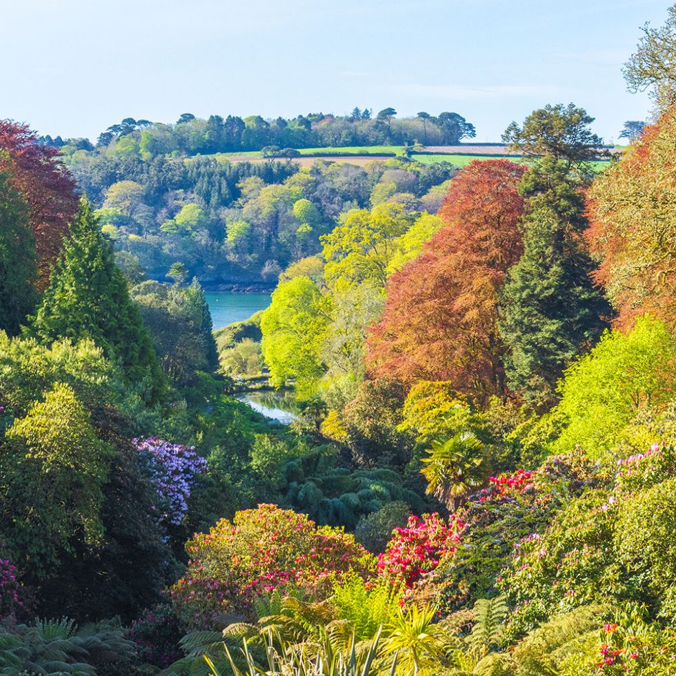 Trebah Garden - The Great Gardens of Cornwall