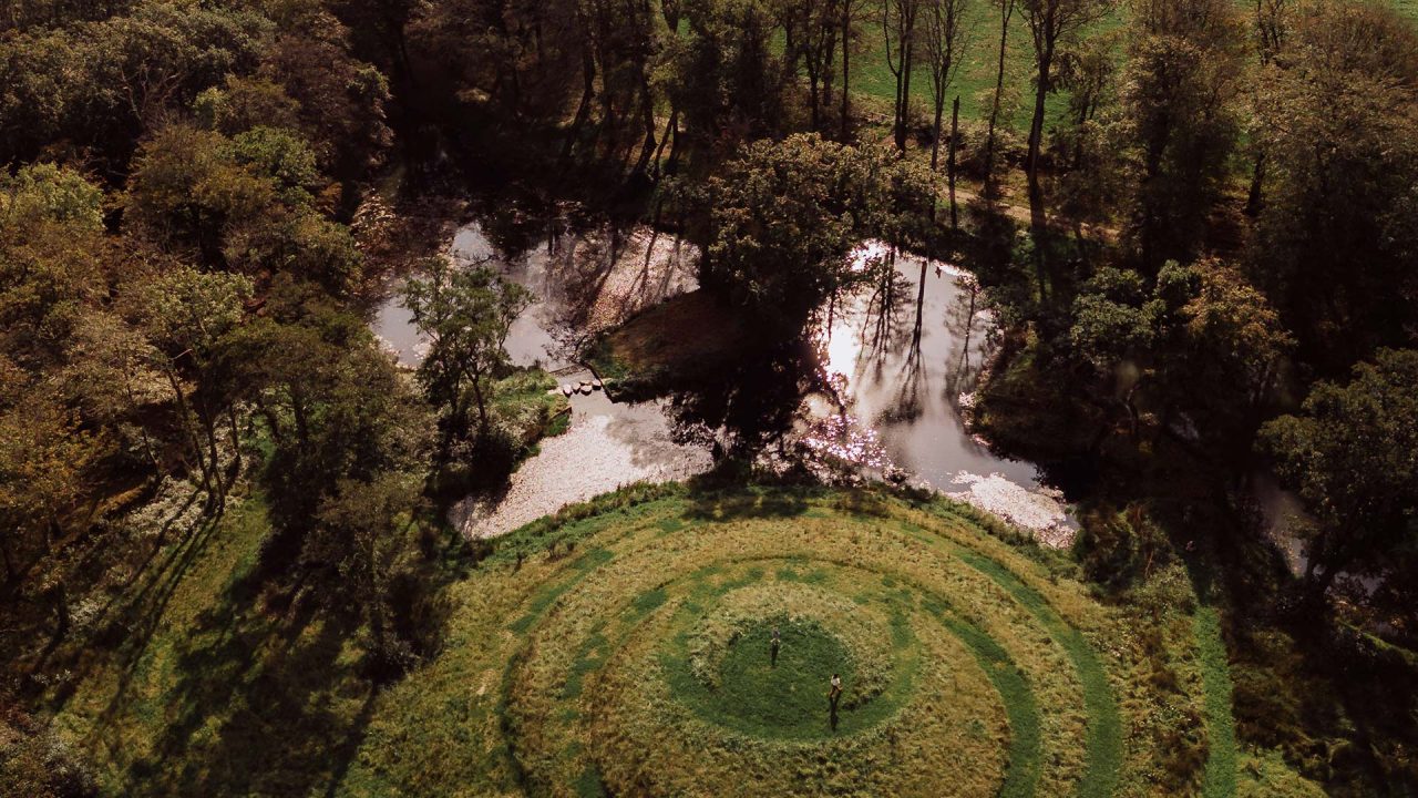 Trewithen - The Great Gardens of Cornwall