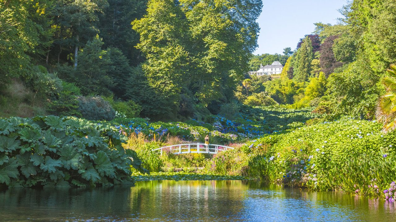 The Great Gardens of Cornwall